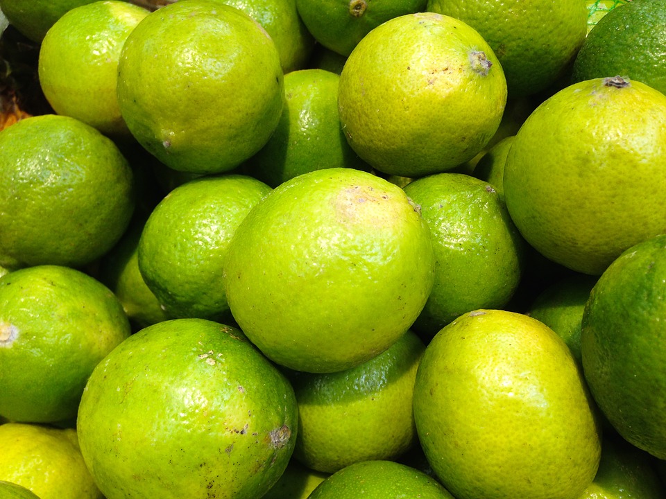Limoen - Lime - Citrus aurantifolia - Enjoil
